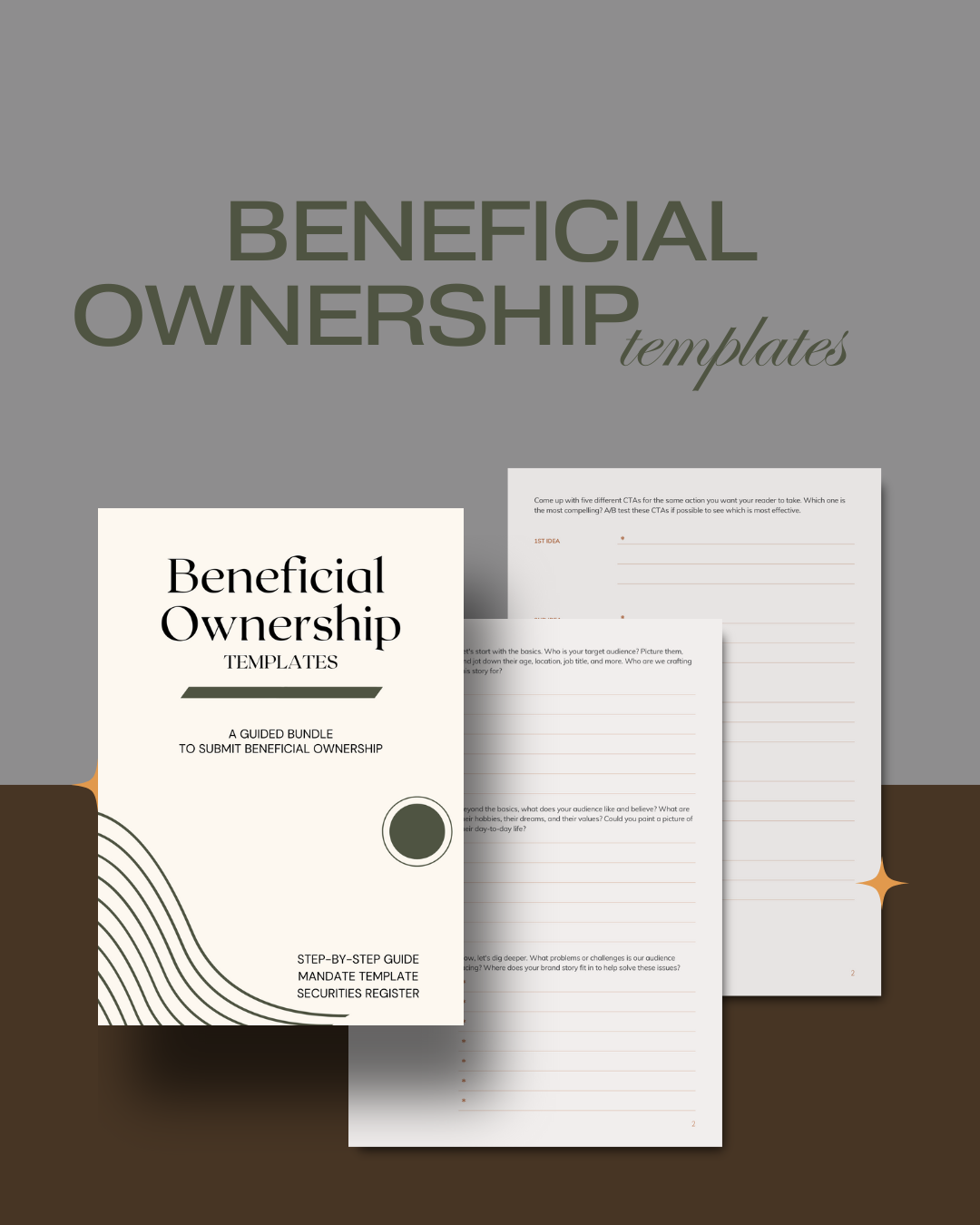 Beneficial Ownership Template Bundle – The PlatformZA Business Agency